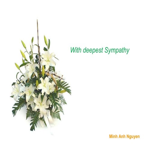 Sympathy | PPS