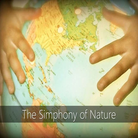 Simphony of nature | PDF