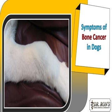 Symptoms of Bone Cancer in Dogs | PPTX