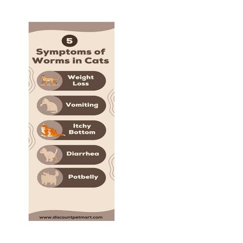 Know these 5 Symptoms of Intestinal Worms in Cats | PDF