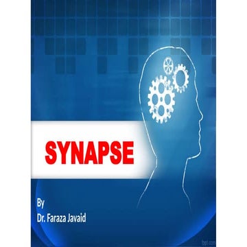 SYNAPSE, IT'S CLASSIFICATION & FUNCTIONS.pptx
