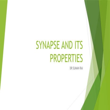SYNAPSE AND ITS PROPERTIES AND DETAILED OVERVIEW | PPTX