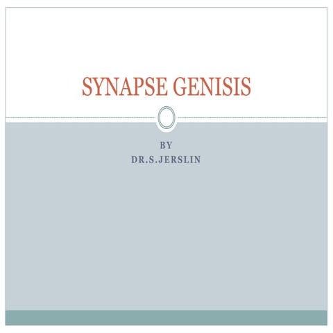 SYNAPSE GENISIS.pptx
