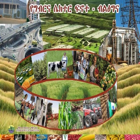 Synchronization work schedule of 2017 E.C | PPTX