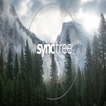 Synctree Capabilties Deck | PPT