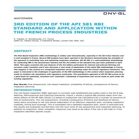 Synergi plant-3rd-edition-of-the-api-rp-581-rbi-standard-and ...