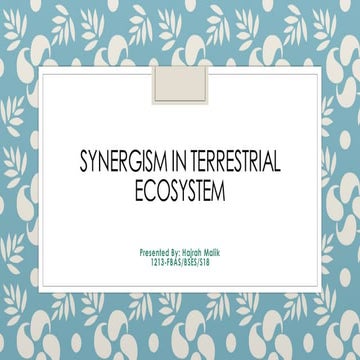 SYNERGISM IN TERRESTRIAL ECOSYSTEM | PDF