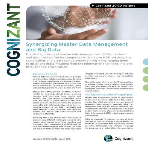 Synergizing Master Data Management And Big Data Pdf