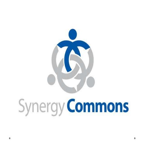 Dave Hackett : Synergy Circles Webinar - Network Structure | PPTX