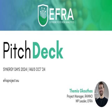 Synergy Days Conference 2024: EFRA Pitch Deck | PDF