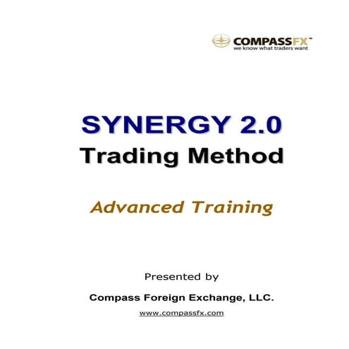 Synergy method | PDF