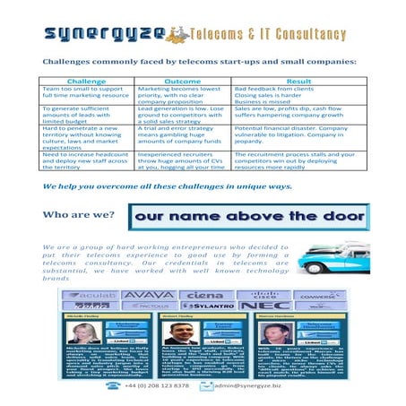 Synergyze whitepaper | PDF