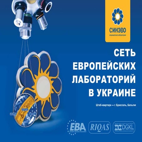 Synevo Ukraine 2017 | PDF