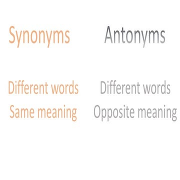 synonyms and antonyms.pptx