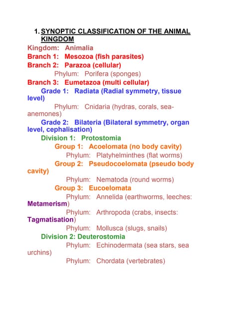 Classification Of Animal Kingdom By Phylum