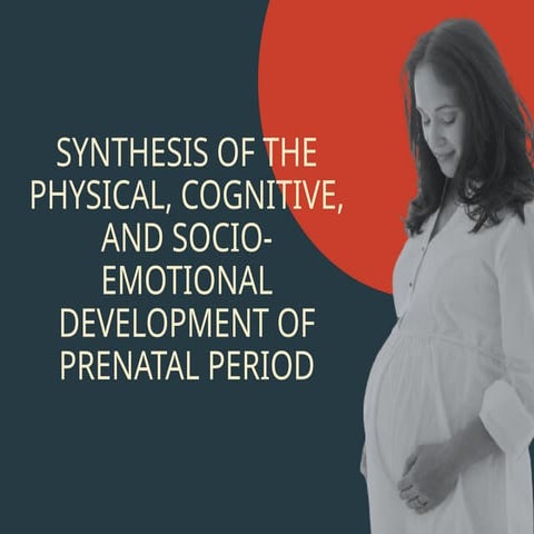 Synthesis-of-Physical-Cognitive-and-Socio-Emotional-Development-of ...