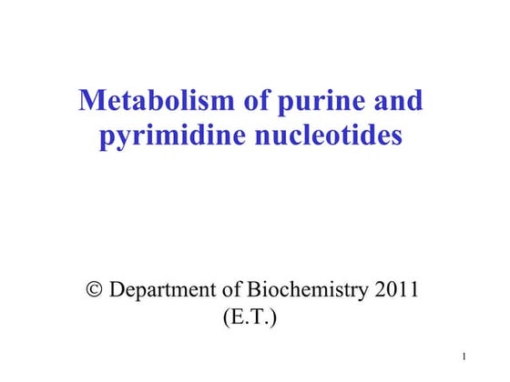 Pyrimidine Synthesis and Degradation | PDF