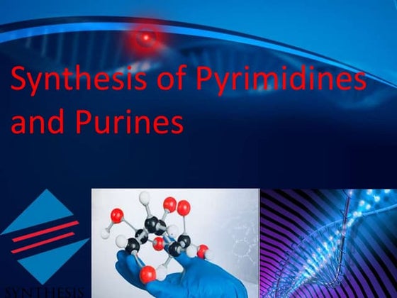 Pyrimidine Synthesis and Degradation | PDF