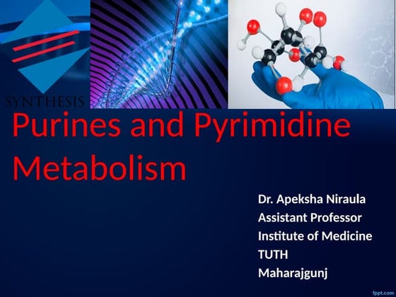 PYRIMIDINE SYNTHESIS | PPTX | Chemistry | Science