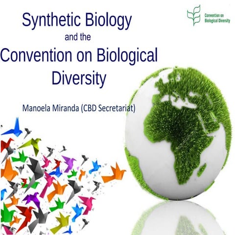 Biocultural Community Protocols: A tool for Strengthening the Rights of ...