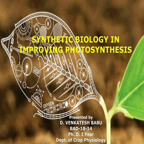 Synthetic biology in improving photosynthesis.pptx