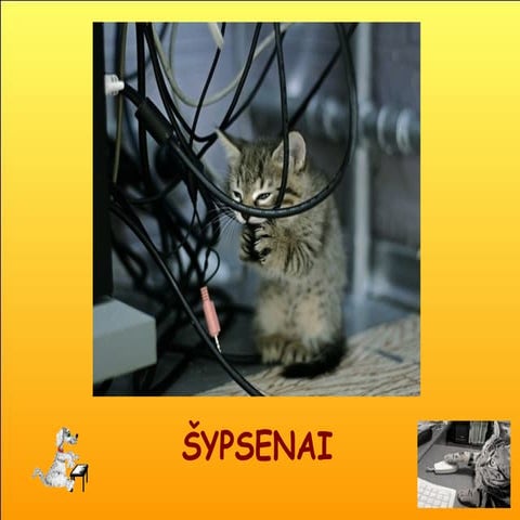 įTrūkęs indas | PPS