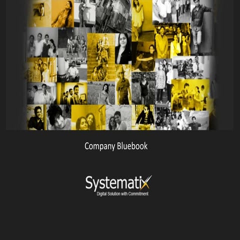 Systematix bluebook | PDF