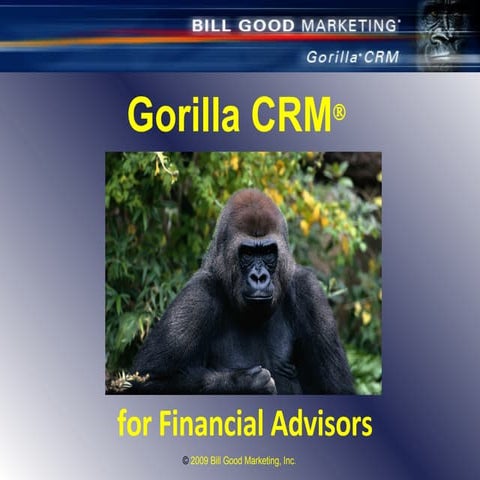 Gorilla CRM System Demo | PPT