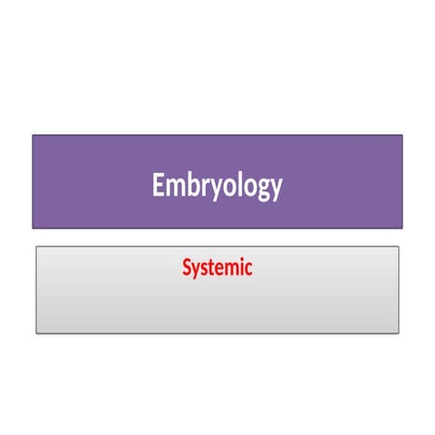 systemic embryology.pptx by Abdullahi Muktar | PPTX