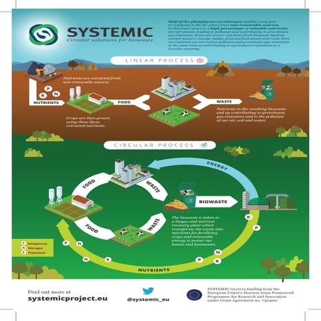 SYSTEMIC infographic | PDF