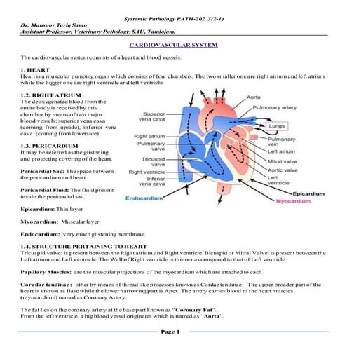 Systemic pathology cardiovascular system | PDF