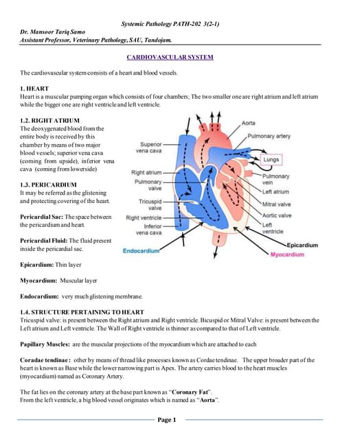 Pathophysiology of Heart failure | PPT | Heart and Cardiovascular ...