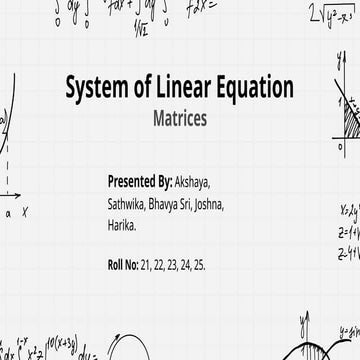 System of Homogeneous and Non-Homogeneous equations ppt nadi.pptx