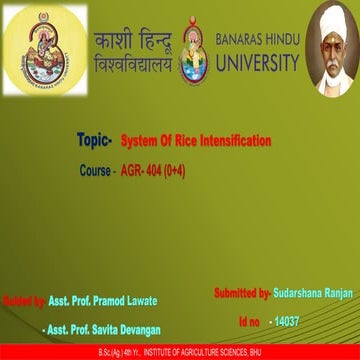 System of rice Intensification (SRI) | PPTX