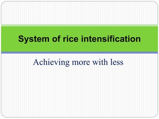 System of rice Intensification (SRI) | PPTX | Agriculture | Industries