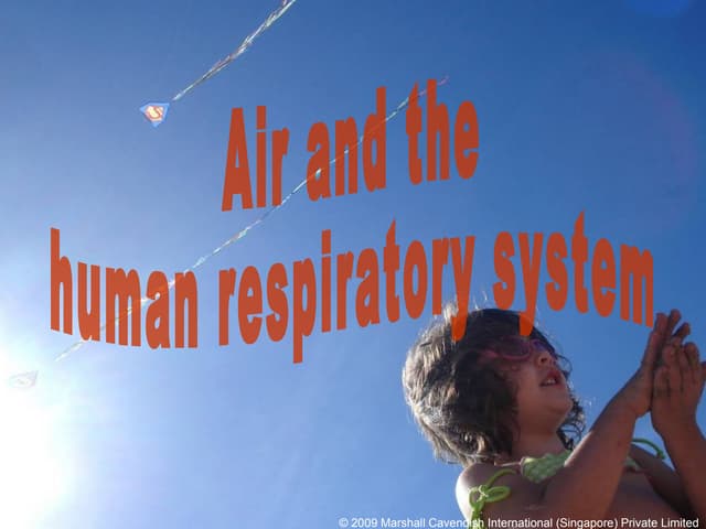 Air around us | PPTX