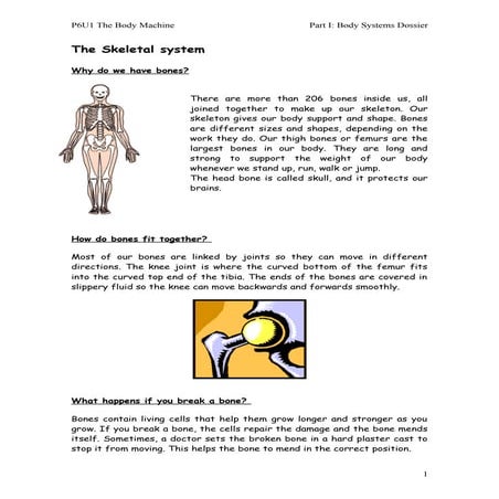 INSIDE OUR BODY -Worksheet | PDF