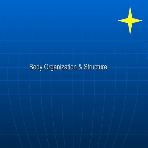 Systems Of The Body | PPT