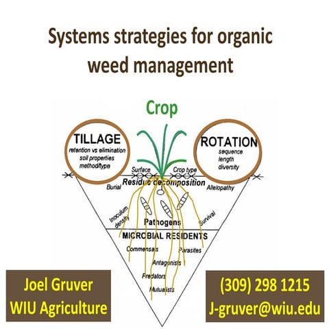 Systems strategies for organic weed management | PDF