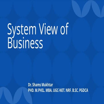 System view of Business under the Management Information System | PPTX