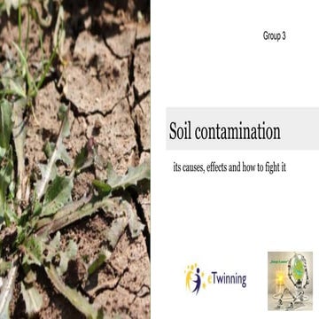 Soil contamination Group 3 | PPTX
