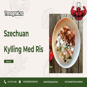 Szechuan Kylling Med Ris - Trenogmat | PDF