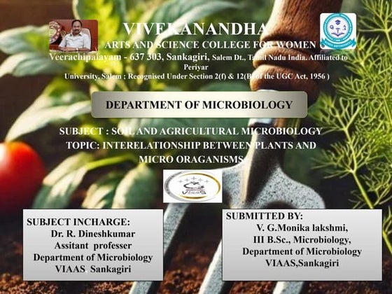 Plant Microbe Interaction | PPTX