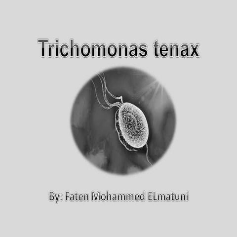 Trichomonas Tenax Life Cycle