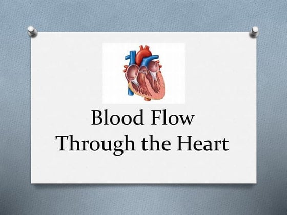 Circulatory system | PPT
