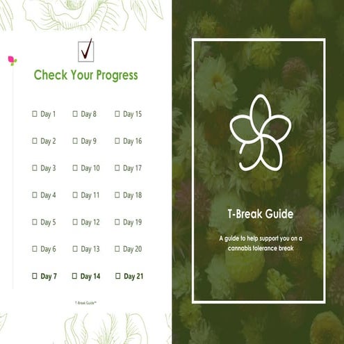 Tolerance Break | PDF | Smoking Cessation | Wellness