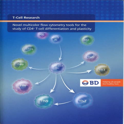 BD Flow Cytometry: T-Cell Research Brochure | PDF | Biotech and Biomedical Industry | Industries