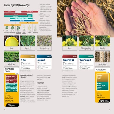 Corprima leaflet a4 02 web | PDF