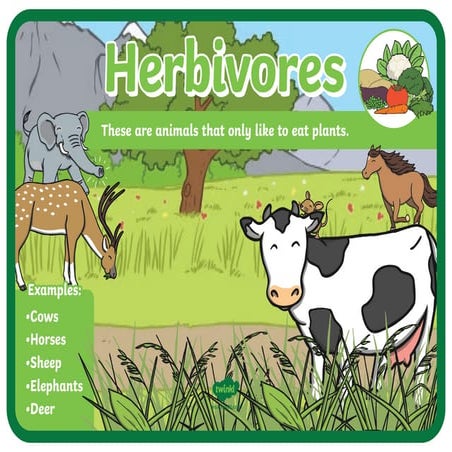 T-Sc-004-Herbivores-Omnivores-and-Carnivores-Posters-_ver_3.pdf