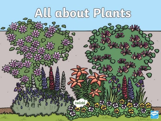 Second Grade Science: Plants | PPT